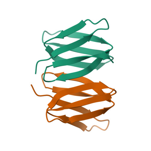RCSB PDB - 5N76: Crystal structure of the apo-form of the CO ...