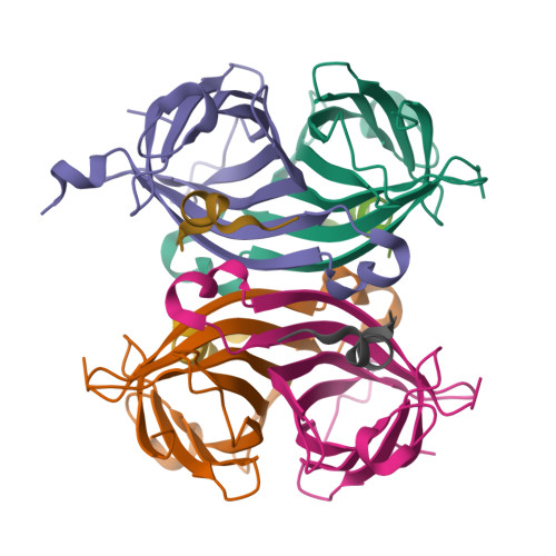 RCSB PDB - 5N8B: CRYSTAL STRUCTURE OF STREPTAVIDIN WITH PEPTIDE ...