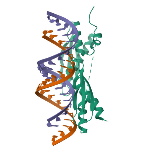 RCSB PDB - 5N8L: Structure of TRBP dsRBD 1 and 2 in complex with a 19 ...