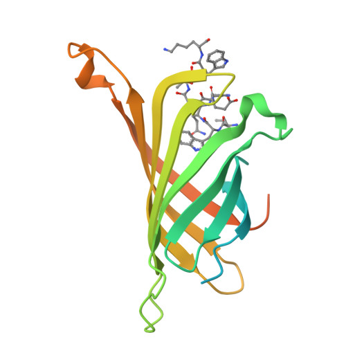 RCSB PDB - 5N8T: CRYSTAL STRUCTURE OF STREPTAVIDIN D-amino acid ...