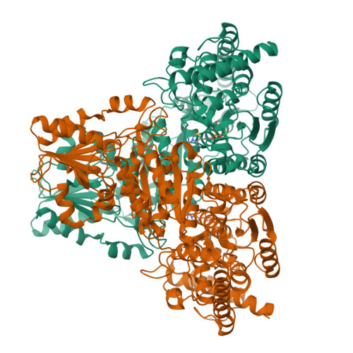RCSB PDB - 5ND5: Crystal structure of transketolase from Chlamydomonas ...