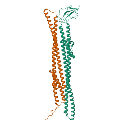 RCSB PDB - 5NEN: Crystal structure of the soluble domain of LipC, a ...