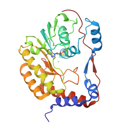 RCSB PDB - 5NJV: Flavivirus NS5 domain