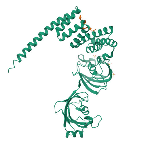RCSB PDB - 5NJX: Human FKBP51 protein in complex with C-terminal ...