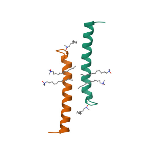 RCSB PDB - 5NNK: The structure of LL-37 crystallized in the presence LDAO