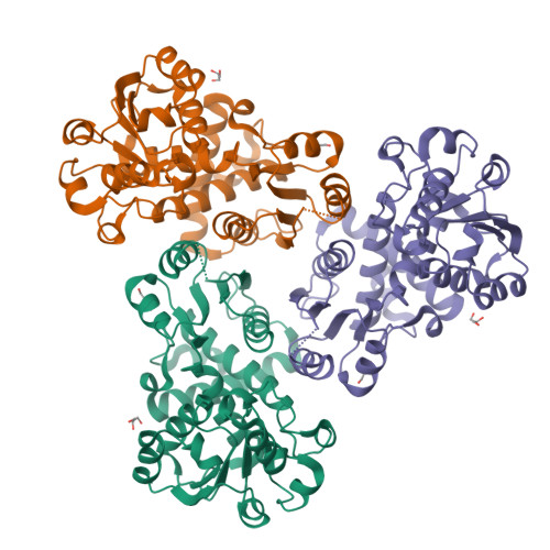 RCSB PDB - 5NNN: Aspartate transcarbamoylase from Chaetomium ...