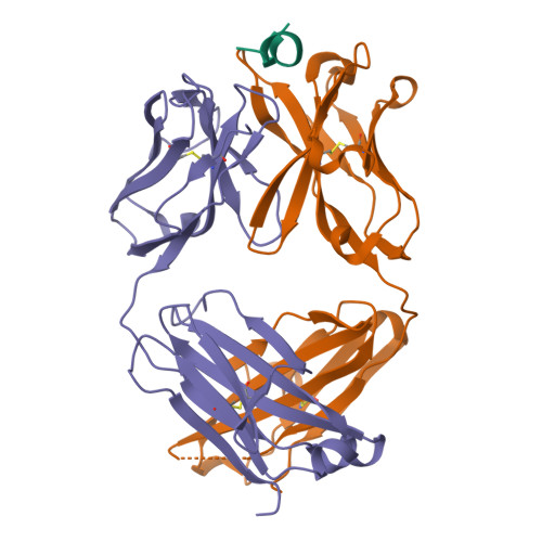RCSB PDB - 5NPH: Structure of the Hepatitis C virus strain J4 ...