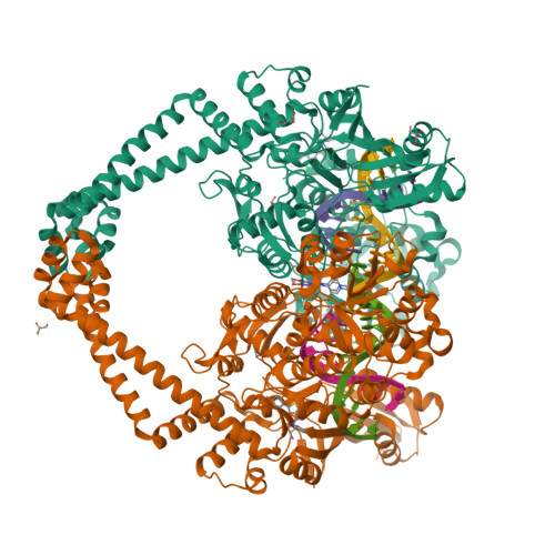RCSB PDB - 5NPP: 2.22A STRUCTURE OF THIOPHENE2 AND GSK945237 WITH S ...