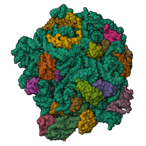 RCSB PDB - 5NRG: The crystal structure of the large ribosomal subunit ...