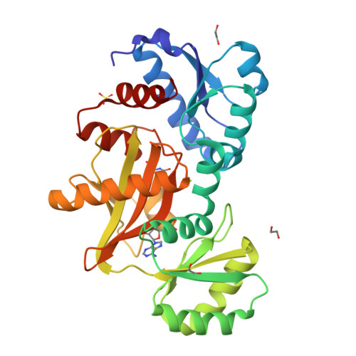 RCSB PDB - 5NRI: Crystal structure of Burkholderia pseudomallei D ...