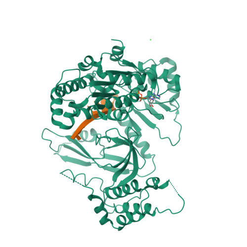 RCSB PDB - 5O6E: Structure of ScPif1 in complex with TTTGGGTT and ADP-AlF4