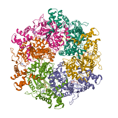 RCSB PDB - 5OAF: Human Rvb1/Rvb2 heterohexamer in INO80 complex