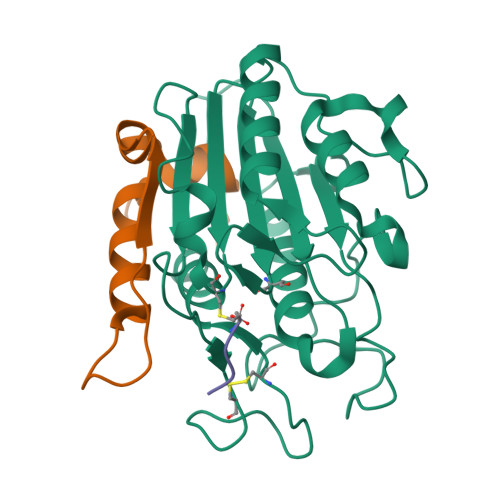 RCSB PDB - 5OBT: Fully activated A. thaliana legumain isoform gamma in ...