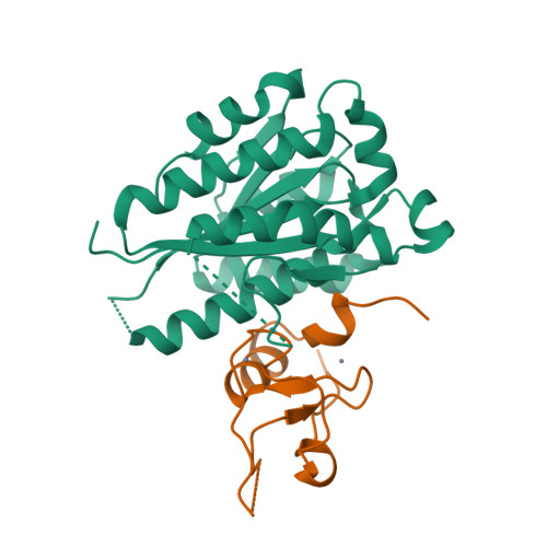 RCSB PDB - 5OBZ: low resolution structure of the p34ct/p44ct minimal ...