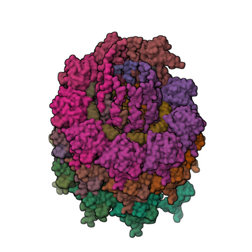 RCSB PDB - 5ODV: Structure of Watermelon mosaic virus potyvirus.