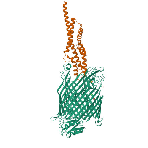 RCSB PDB - 5ODW: Structure of the FpvAI-pyocin S2 complex