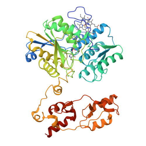 RCSB PDB - 5OHX: Structure of active cystathionine B-synthase from Apis ...