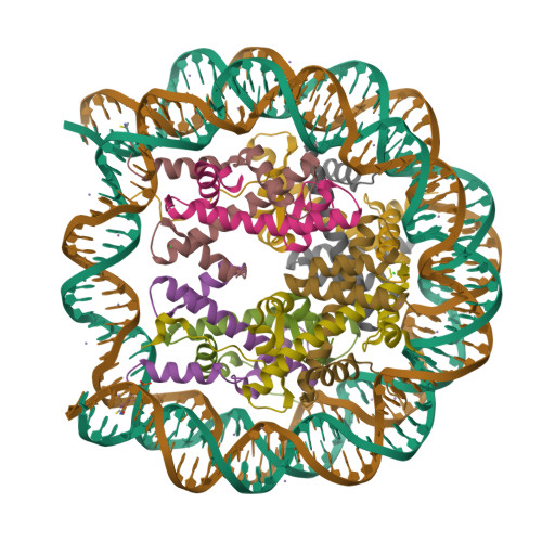 Histone Octamer Structure