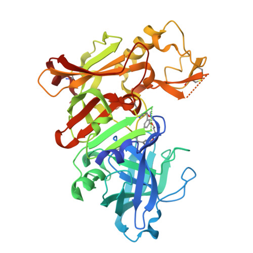 RCSB PDB - 5QDC: Crystal structure of BACE complex with BMC019 hydrolyzed