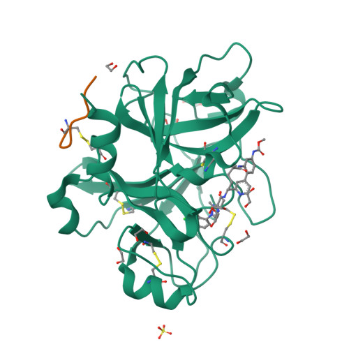 RCSB PDB - 5QTU: FACTOR XIA IN COMPLEX WITH THE INHIBITOR methyl [(3R ...