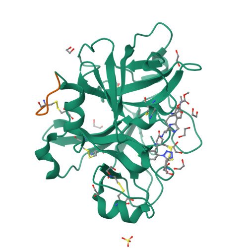 RCSB PDB - 5QTX: FACTOR XIA IN COMPLEX WITH THE INHIBITOR ethyl (2R,7S ...