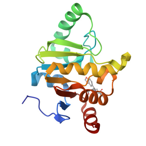 RCSB PDB - 5SSG: PanDDA analysis group deposition -- Crystal structure ...