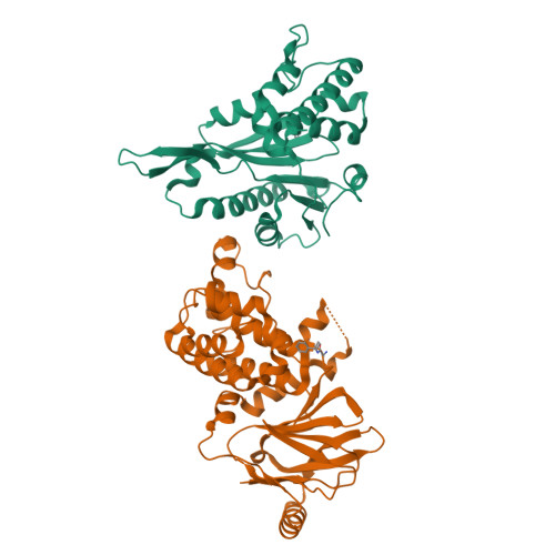 Rcsb Pdb 5str Pandda Analysis Group Deposition Aar2 Rnaseh In