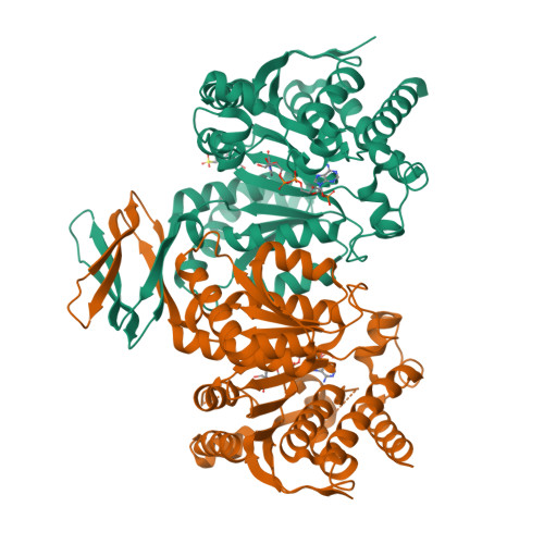 RCSB PDB - 5SVO: Structure of IDH2 mutant R140Q