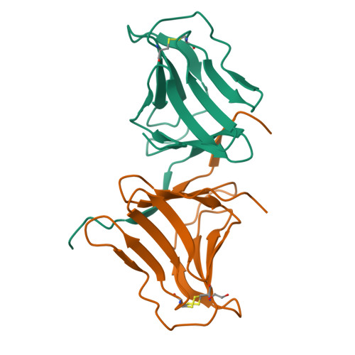 RCSB PDB - 5T1X: Crystal Structure of Native Tarin Lectin