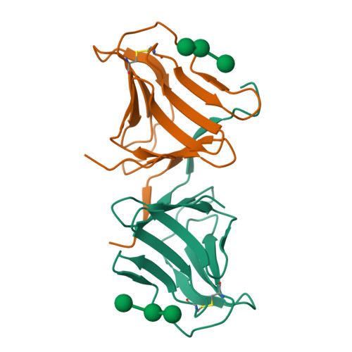 RCSB PDB - 5T20: Crystal Structure of Tarin Lectin bound to Trimannose