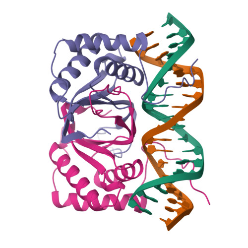 RCSB PDB - 5T7X: Crystal structure of HHV-4 EBNA1 DNA binding domain ...