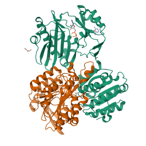 RCSB PDB - 5TDF: TEV Cleaved Human ATP Citrate Lyase Bound to 4S ...