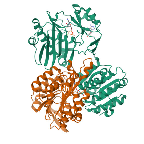 RCSB PDB - 5TDM: TEV Cleaved Human ATP Citrate Lyase Bound to 4R ...