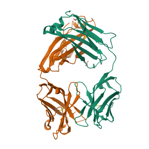 RCSB PDB - 5TDN: Crystal structure of the Fab fragment of anti-HER2 ...