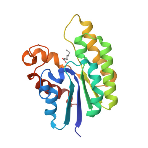 RCSB PDB - 5TID: X-ray structure of acyl-CoA thioesterase I, TesA ...