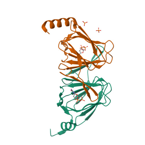 RCSB PDB - 5TPV: X-ray structure of WlaRA (TDP-fucose-3,4-ketoisomerase ...