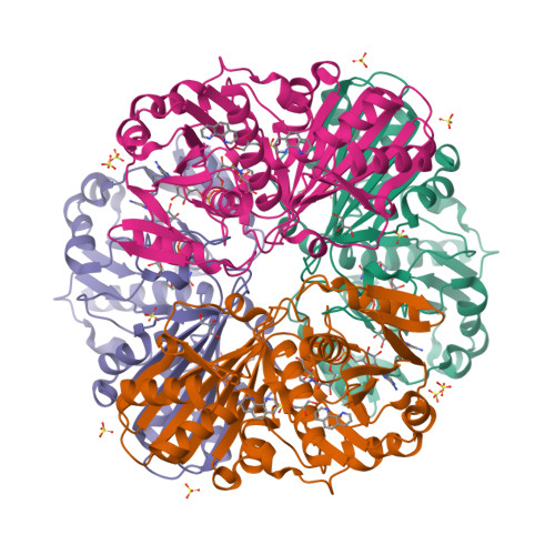 RCSB PDB - 5TSO: CRYSTAL STRUCTURE OF GLYCERALDEHYDE-3-PHOSPHATE ...
