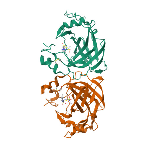 RCSB PDB - 5TV3: Crystal structure of the complex of Helicobacter ...