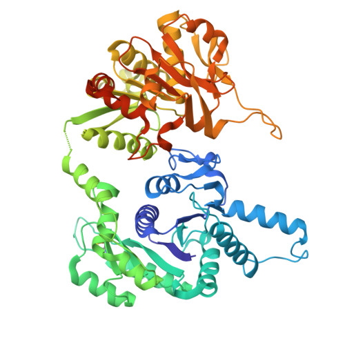 Gene P17812 | Protein CTPS1 - Overview | canSAR.ai | canSAR.ai