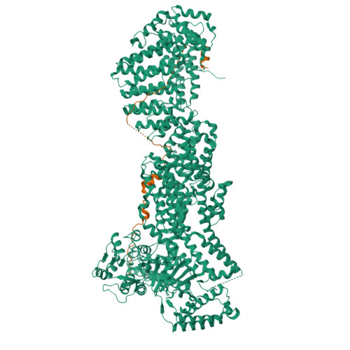 RCSB PDB - 5U1T: Crystal structure of the Saccharomyces cerevisiae ...