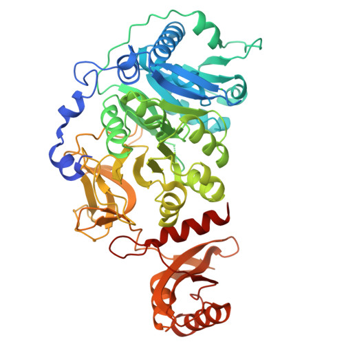 RCSB PDB - 5U2A: Crystal structure of Brucella canis Acyl-CoA Synthetase
