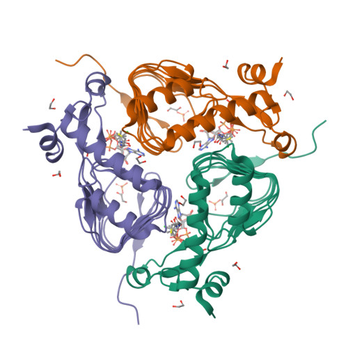 RCSB PDB - 5U2K: Crystal structure of Galactoside O-acetyltransferase ...
