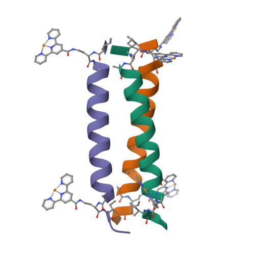 RCSB PDB - 5U5B: Coiled Coil Peptide Metal Coordination Framework ...