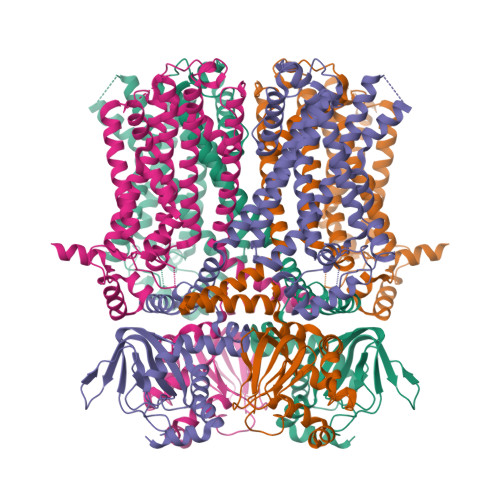 RCSB PDB - 5U6O: Structure of the human HCN1 hyperpolarization ...