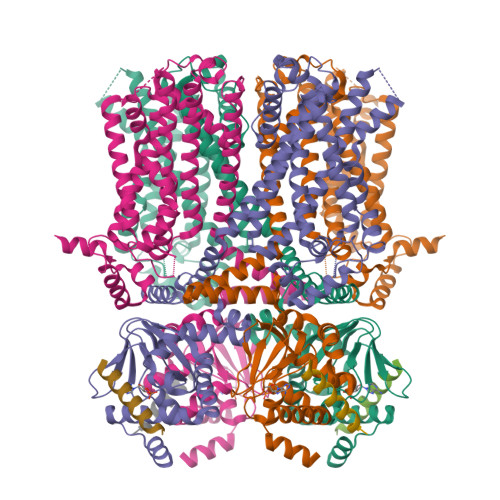 RCSB PDB - 5U6P: Structure of the human HCN1 hyperpolarization ...