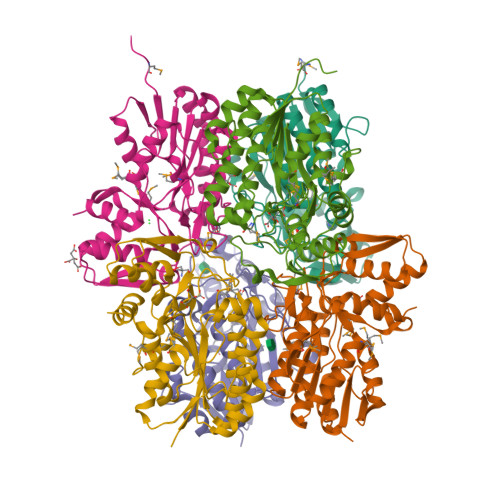 RCSB PDB - 5U9C: 1.9 Angstrom Resolution Crystal Structure of dTDP-4 ...