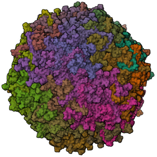 RCSB PDB - 5URF: The structure of human bocavirus 1