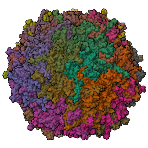 RCSB PDB - 5US7: Human bocavirus 3