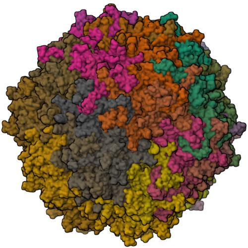 RCSB PDB - 5US9: Human bocavirus 4