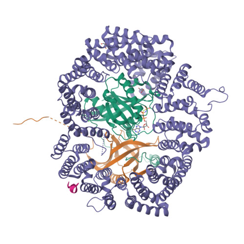 RCSB PDB - 5UWU: Crystal Structure of SMAD4 NES Peptide in complex with ...